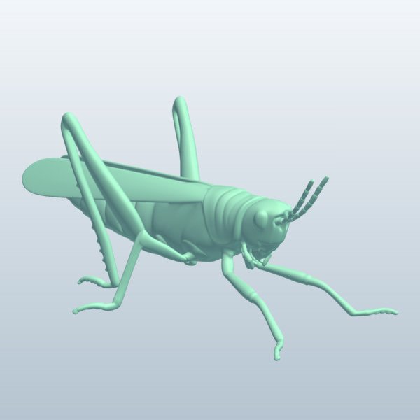 Locust v1 Free 3D Model - .obj .stl - Free3D