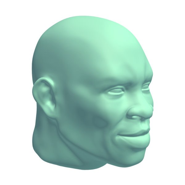 Happy Facial Expression V2 Free 3D Model - .obj .stl - Free3D