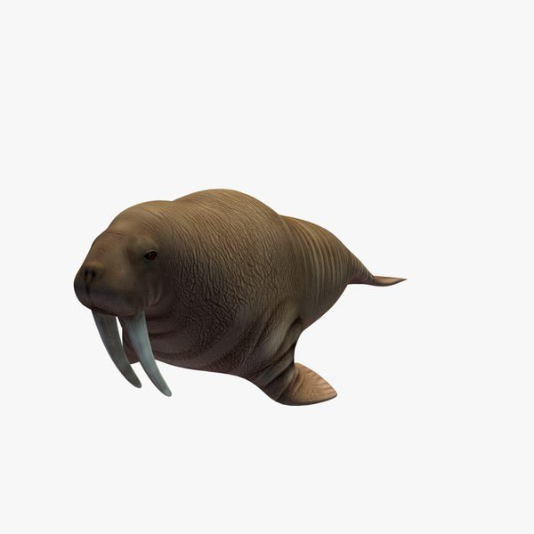 Walrus v1 Free 3D Model - .obj .stl - Free3D