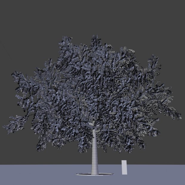 Tree Oak V10 Free 3D Model - .obj - Free3D