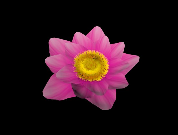 Water lily flower Free 3D Model - .c4d - Free3D