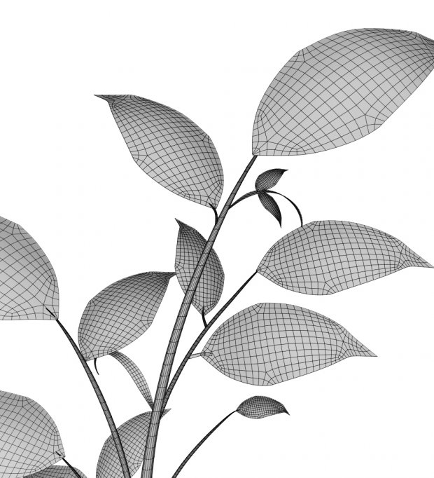 Plant Model Free 3D Model - .mb .fbx - Free3D
