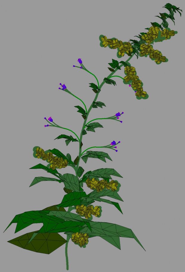 Flower 17 Free 3D Model - .3ds .obj .mtl .dxf - Free3D