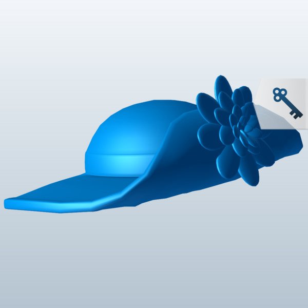 BonnetTurnedUpBrim v2 Free 3D Model - .obj .stl - Free3D