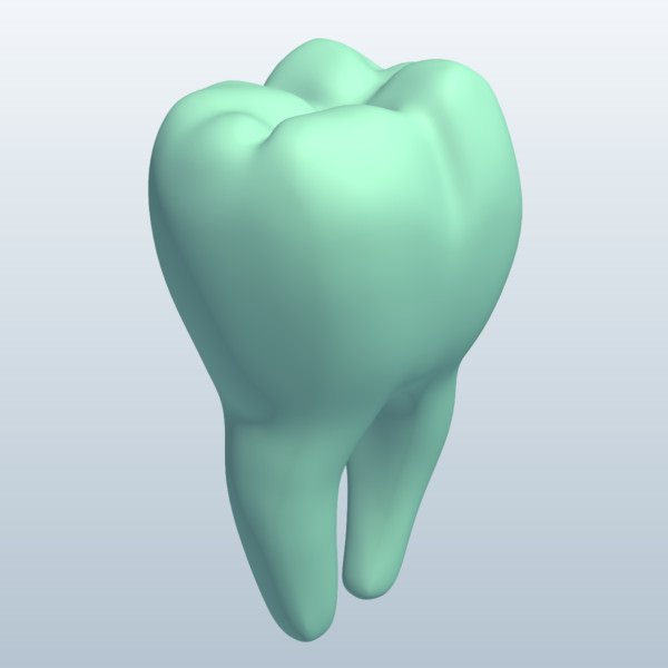 Molar with root V1 Free 3D Model - .obj .stl - Free3D