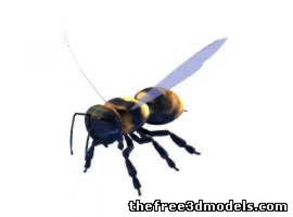 Bee Free 3D Model - .3ds .obj .max .lwo .mtl .sldprt - Free3D