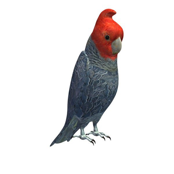 Bird v1 Free 3D Model - .obj .stl - Free3D