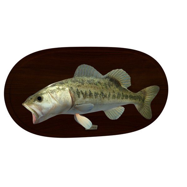 Bass fish v1 Free 3D Model - .obj .stl - Free3D