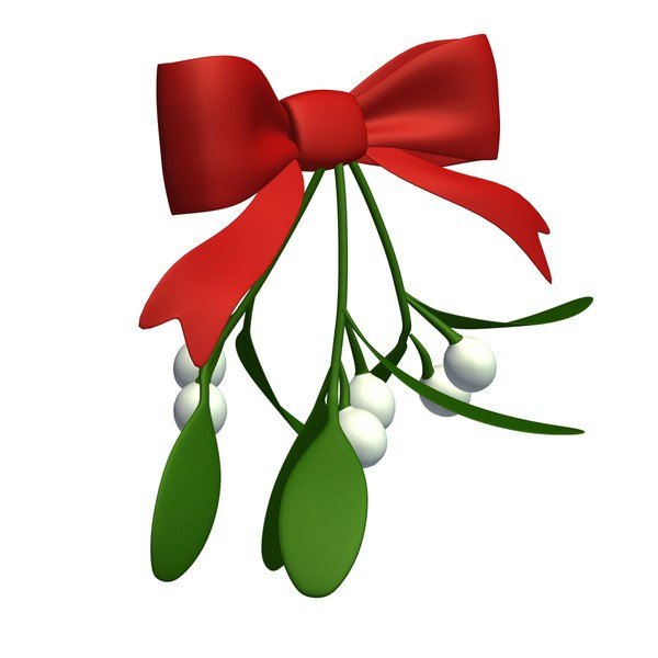 Mistletoe V2 Free 3D Model - .obj .stl - Free3D