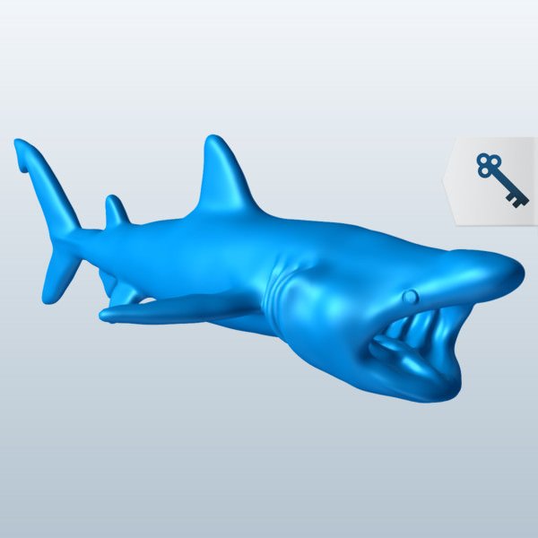 Basking Shark v1 Free 3D Model - .obj .stl - Free3D