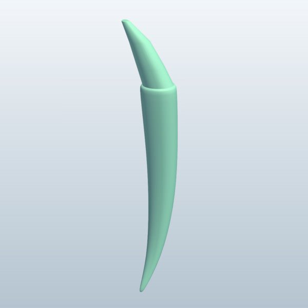 Sabertooth tiger tooth v1 Free 3D Model - .obj .stl - Free3D