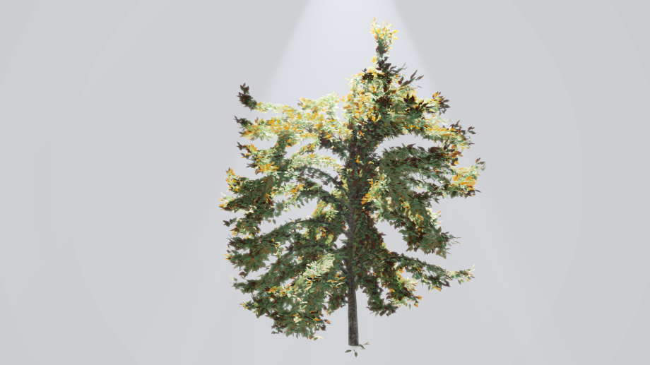 Realistic Tree Free 3D Model - .blend - Free3D