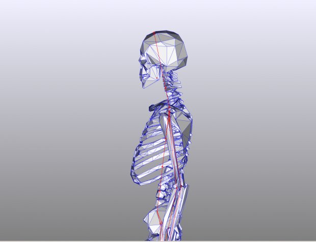 MrBones, Skeleton, LowPoly Free 3D Model - .fbx - Free3D