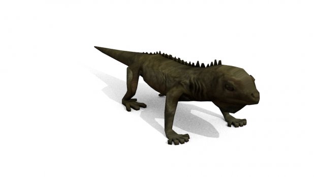 Low Poly Lizard Free 3D Model - .3ds .obj .blend .mtl - Free3D