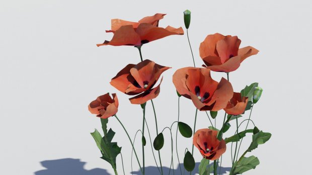 Poppy field Free 3D Model - .obj .max - Free3D