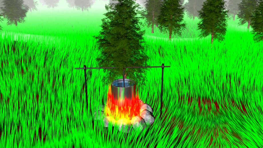 FOREST CAMPFIRE SCENE Free 3D Model - .c4d - Free3D