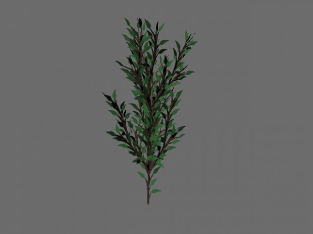 Small tree Free 3D Model - .mb - Free3D