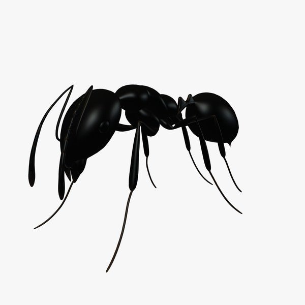 Ant v1 Free 3D Model - .obj .stl - Free3D