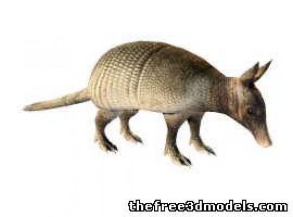 Armadillo Free 3D Model - .3ds .obj .max .lwo .mtl .sldprt - Free3D