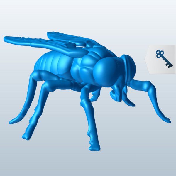 Horse fly V1 Free 3D Model - .obj .stl - Free3D