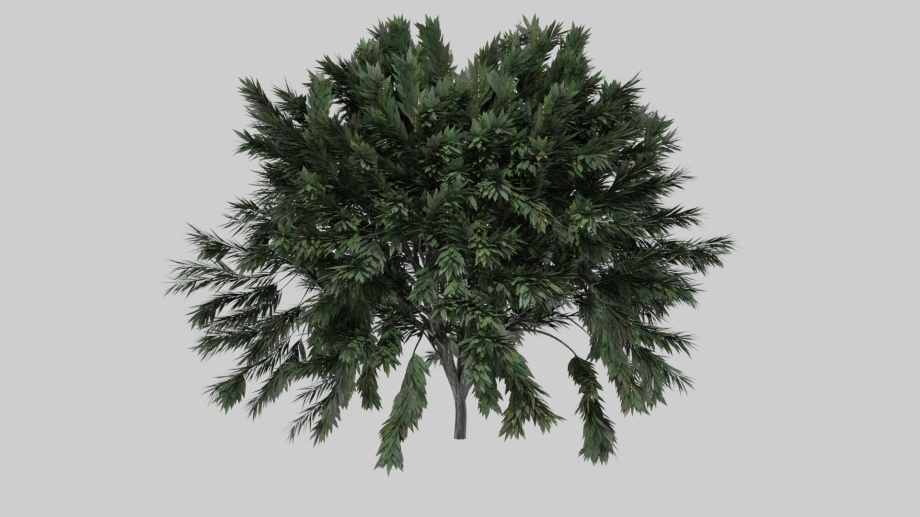 Realistic Tree 02 Free 3D Model - .blend .obj .fbx .stl .dae .abc .x3d ...