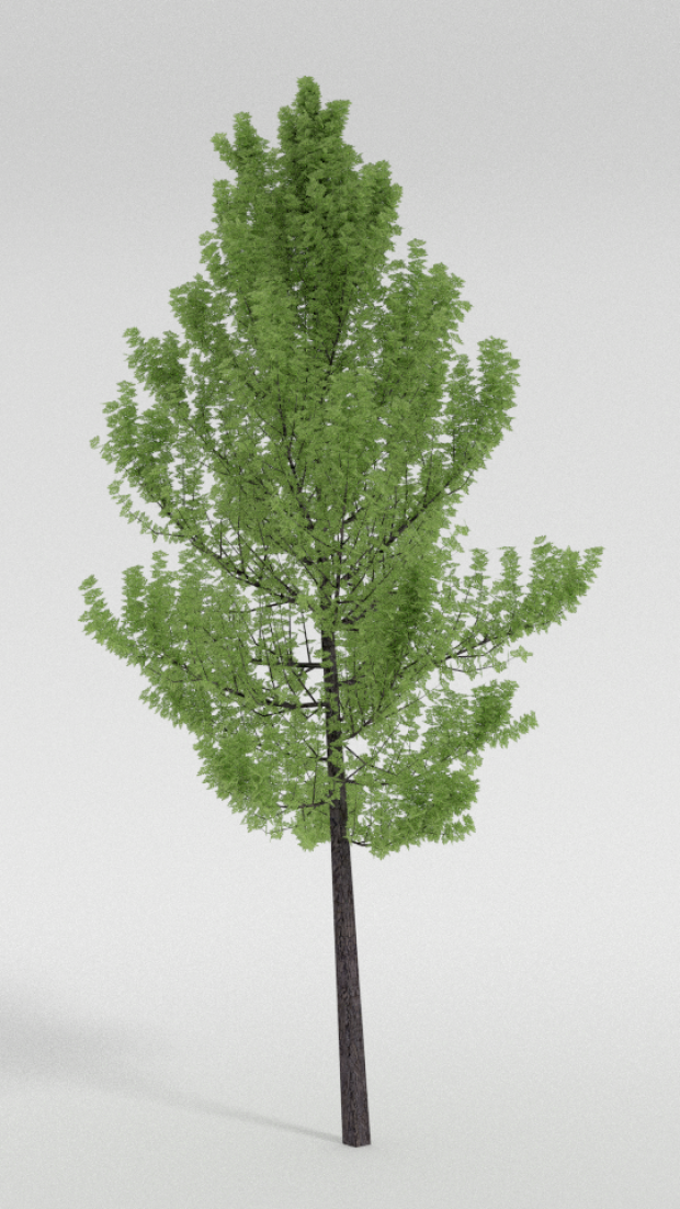 Realistic Trees Scene Free 3D Model - .blend - Free3D