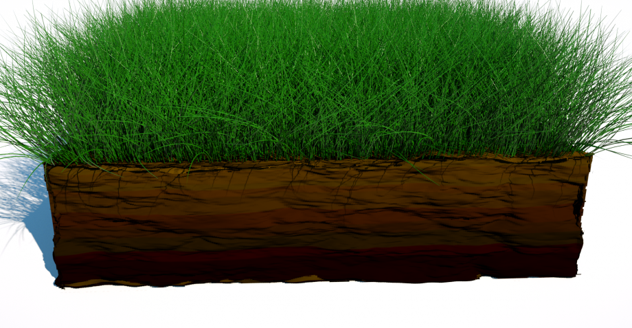Grass Free 3D Model - .c4d - Free3D