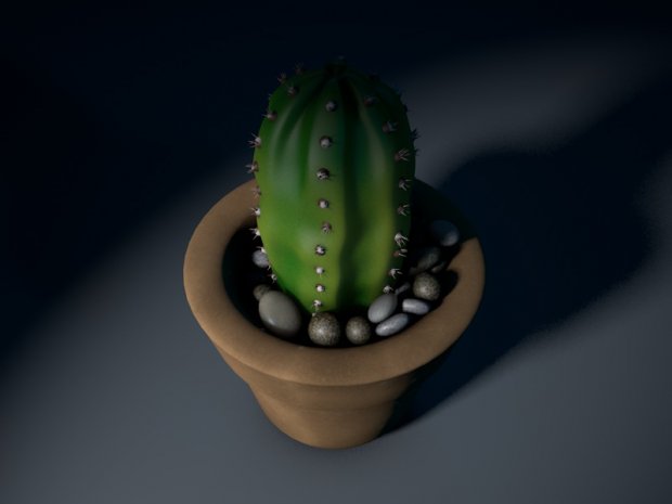 Cactus Free 3D Model - .c4d - Free3D