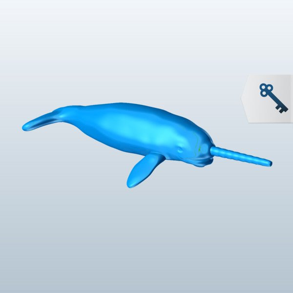Narwhal v1 Free 3D Model - .obj .stl - Free3D