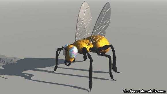 Insect Free 3D Model - .3ds .obj .c4d .sldprt - Free3D
