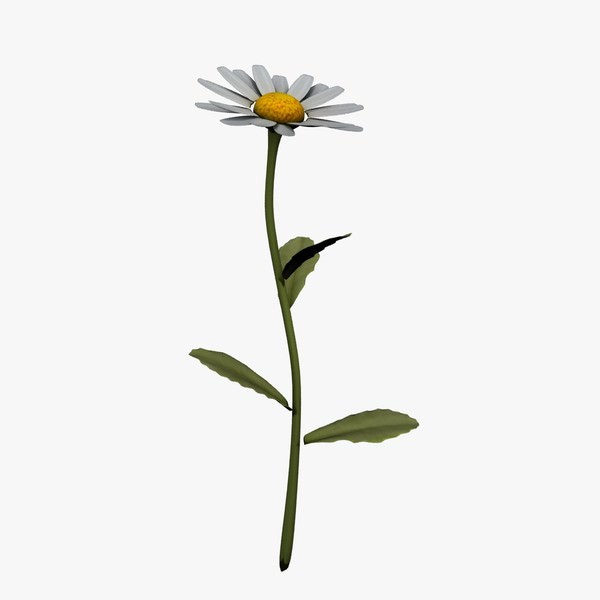 Daisy v1 Free 3D Model - .obj .stl - Free3D