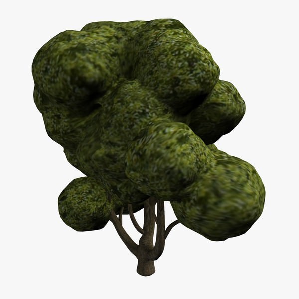 Oak Tree v1 Free 3D Model - .obj .stl - Free3D