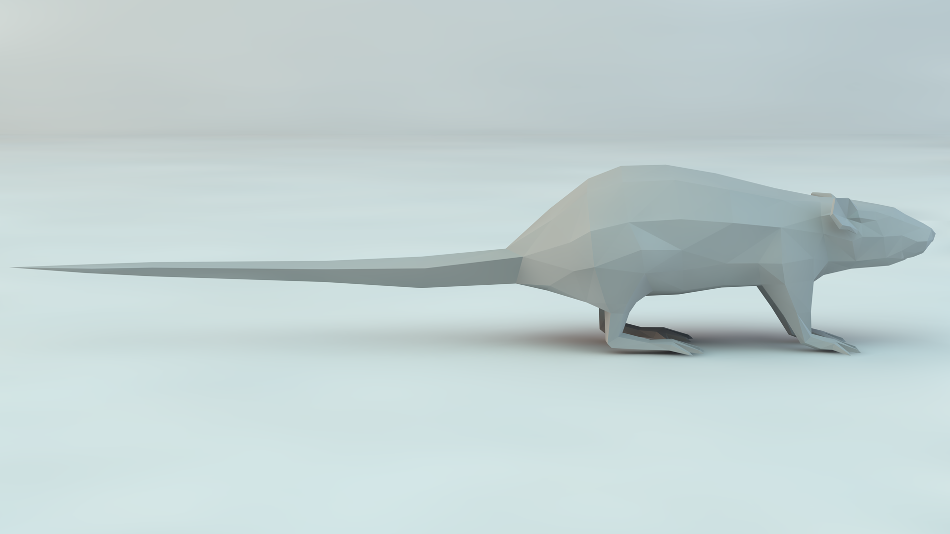 Low poly rat Free 3D Model - .3ds .obj .dae .c4d .fbx - Free3D