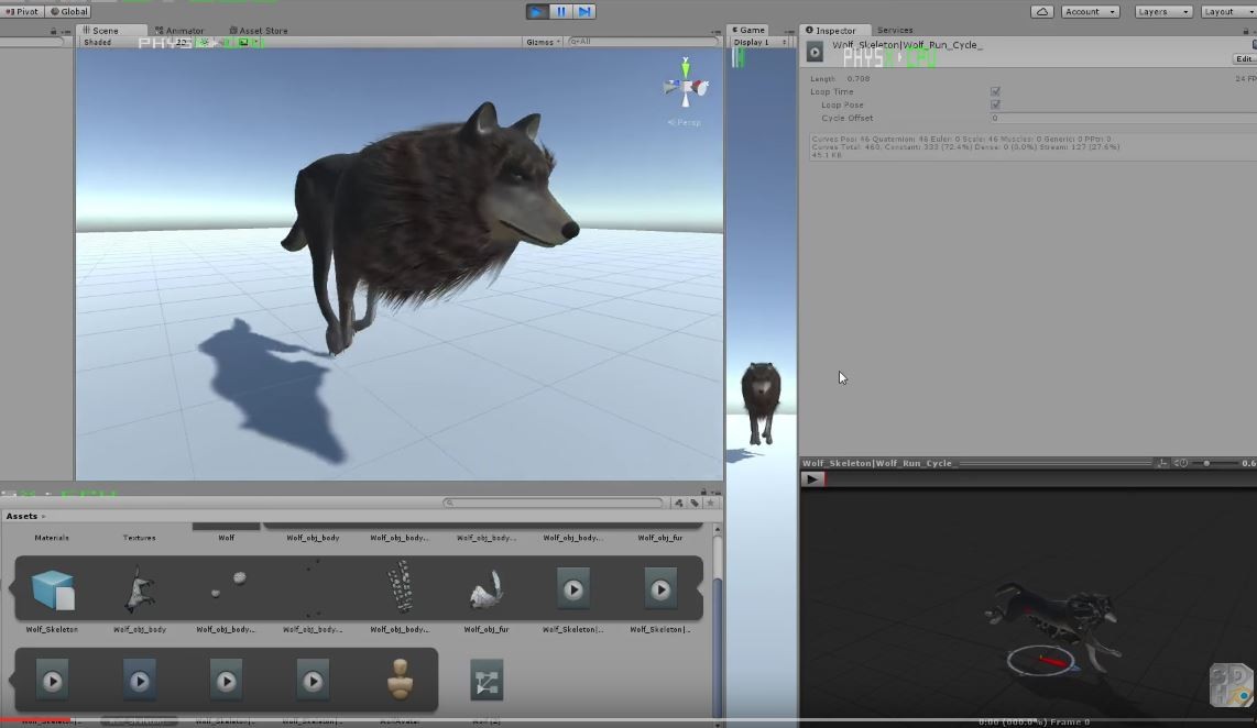 Wolf Rigged and Game Ready Free 3D Model - .gltf .blender .x3d .x .wrl ...