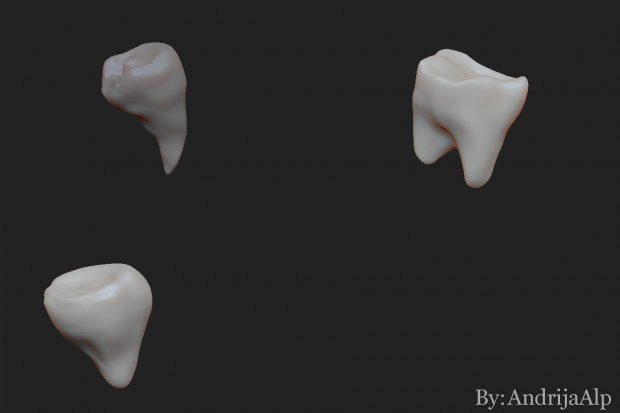 Teeth Free 3D Model - .obj - Free3D