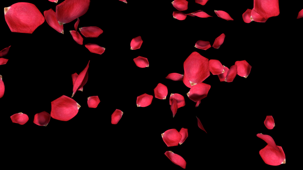 Rose Petals Free 3D Model - .c4d - Free3D