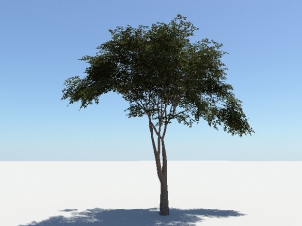 Tree Free 3D Model - .obj .fbx - Free3D