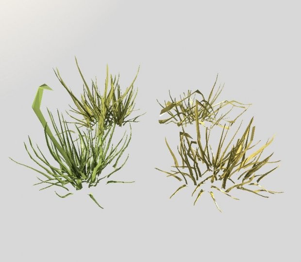 Wild Grasses Free 3D Model - .blend - Free3D