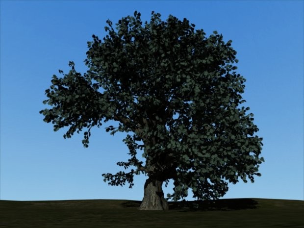 Tree and ground textured Free 3D Model - .obj .mb .fbx - Free3D