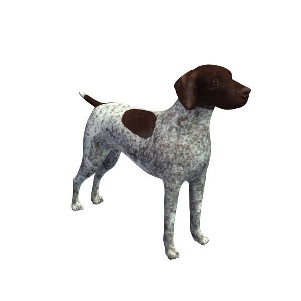 German Shorthaired Pointer v1 Free 3D Model - .obj .stl - Free3D
