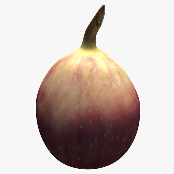 Fig Free 3D Model - .obj .stl - Free3D