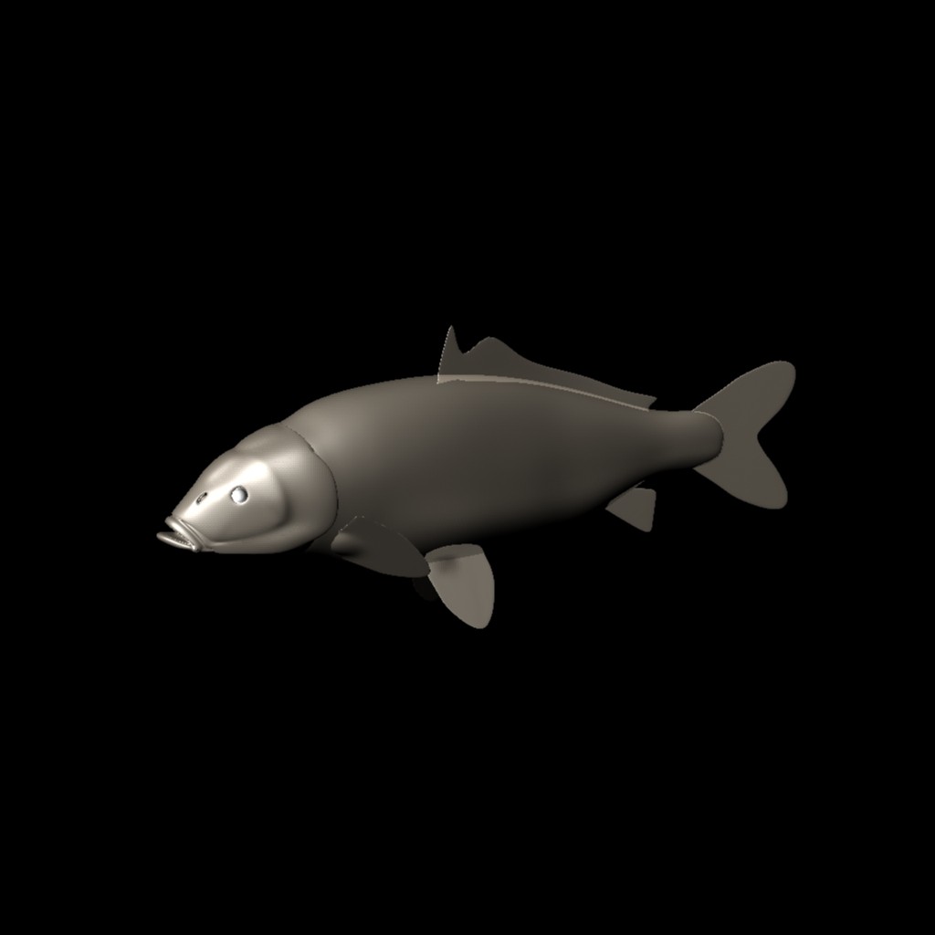 Fish 3d model rigged Free 3D Model - .ma - Free3D