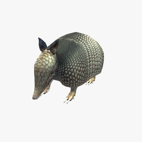 Armadillo v1 Free 3D Model - .obj .stl - Free3D