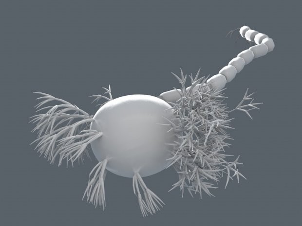 Cell Brain Free 3D Model - .c4d .fbx - Free3D