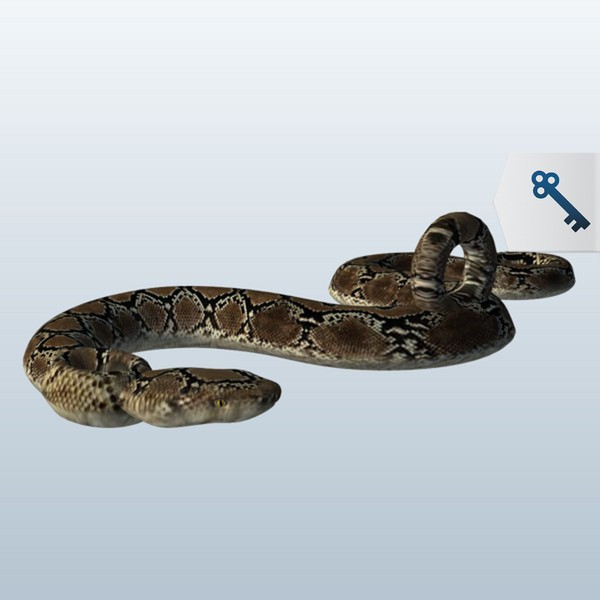 Snake V1 Free 3D Model - .obj .stl - Free3D