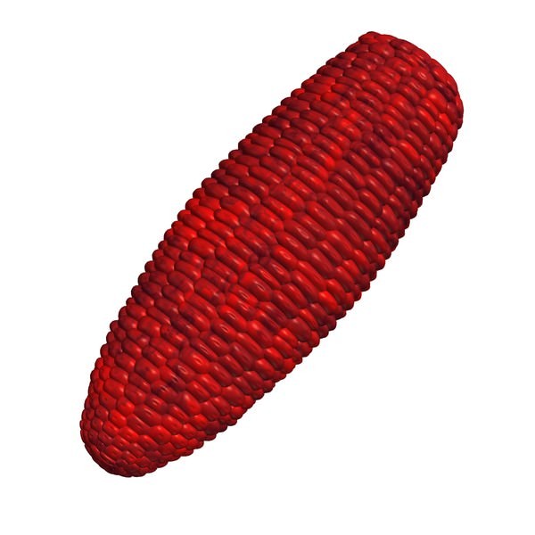 Ear Of Corn Red V2 Free 3D Model - .obj .stl - Free3D