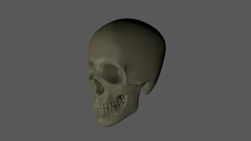 Human skull Free 3D Model - .stl .obj .fbx .dae .3ds - Free3D
