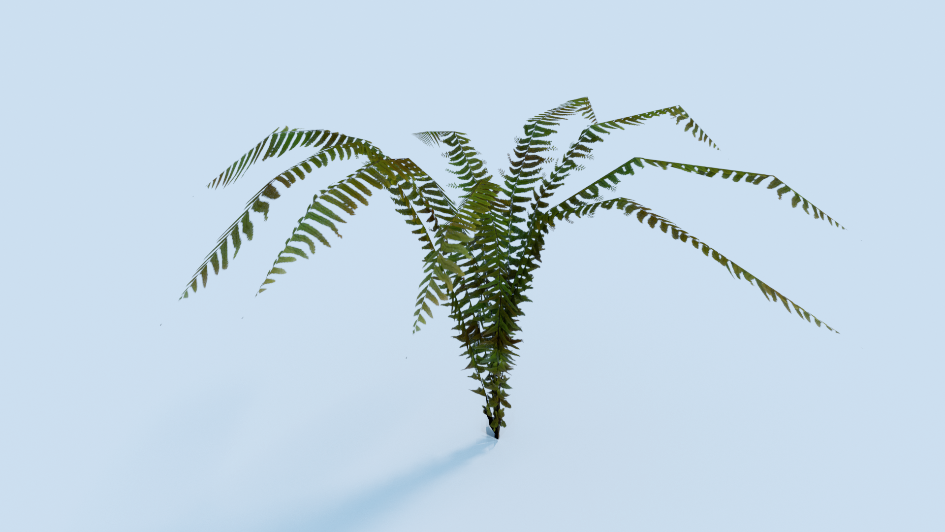 Fern Free 3D Model - .fbx - Free3D