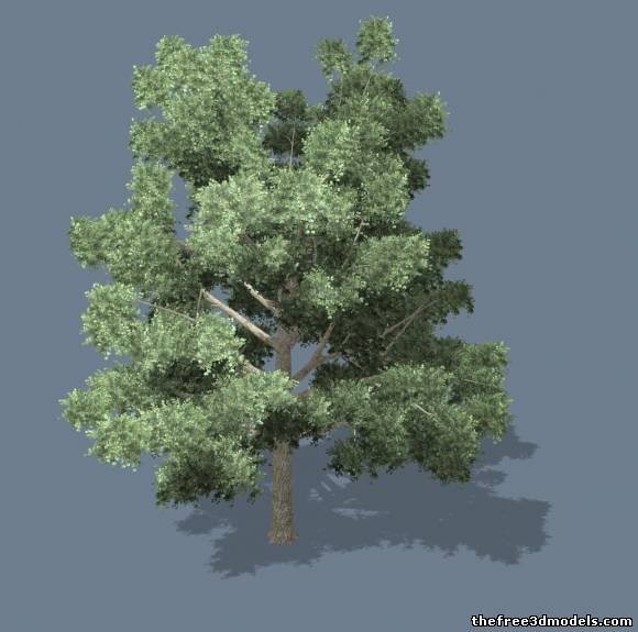 A Tree Free 3D Model - .fbx - Free3D