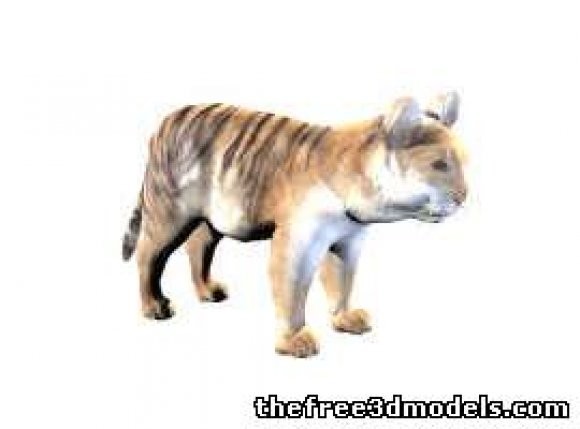 Tiger Cub Free 3D Model - .3ds .obj .max .lwo .mtl .sldprt - Free3D